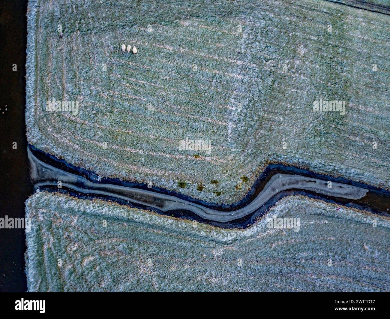 Aerial view of serpentine river meandering through a textured landscape ...