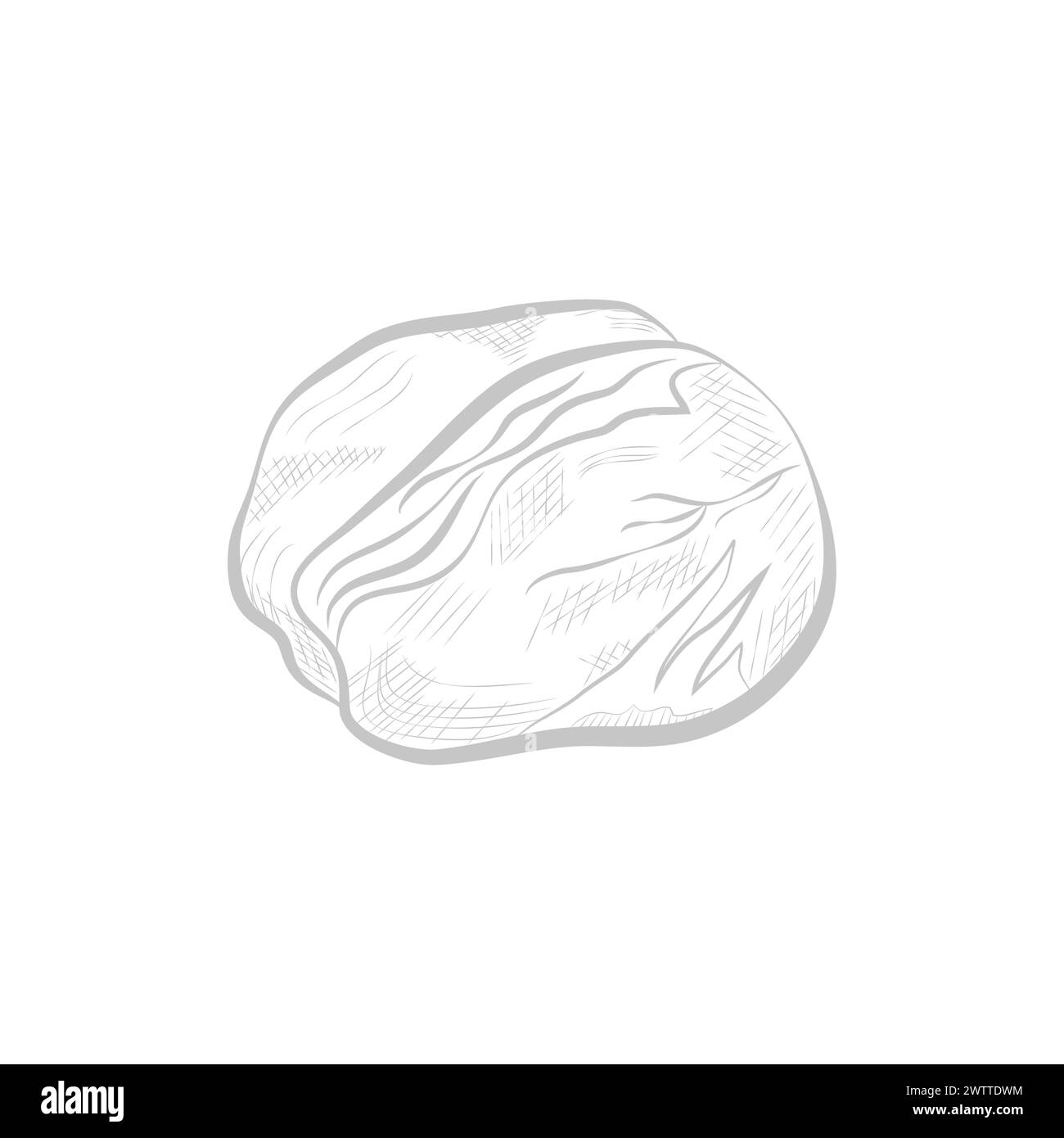 Fresh cabbage, line sketch healthy food ingredient, farmers market ...