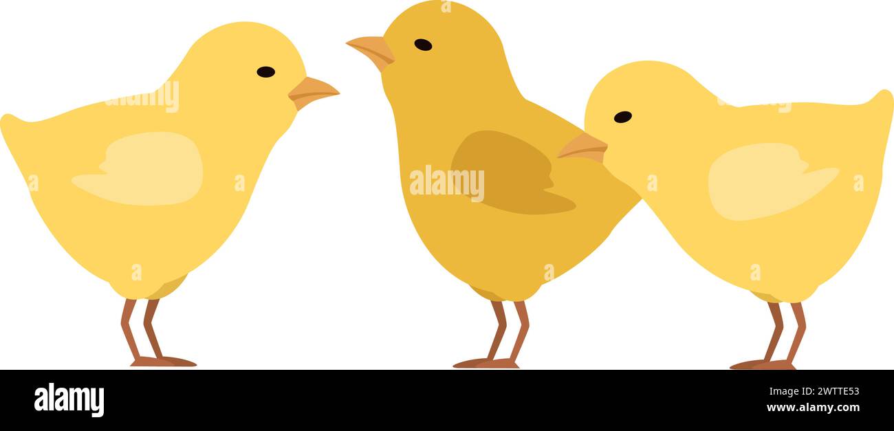 Yellow baby chick standing Stock Vector Images - Alamy