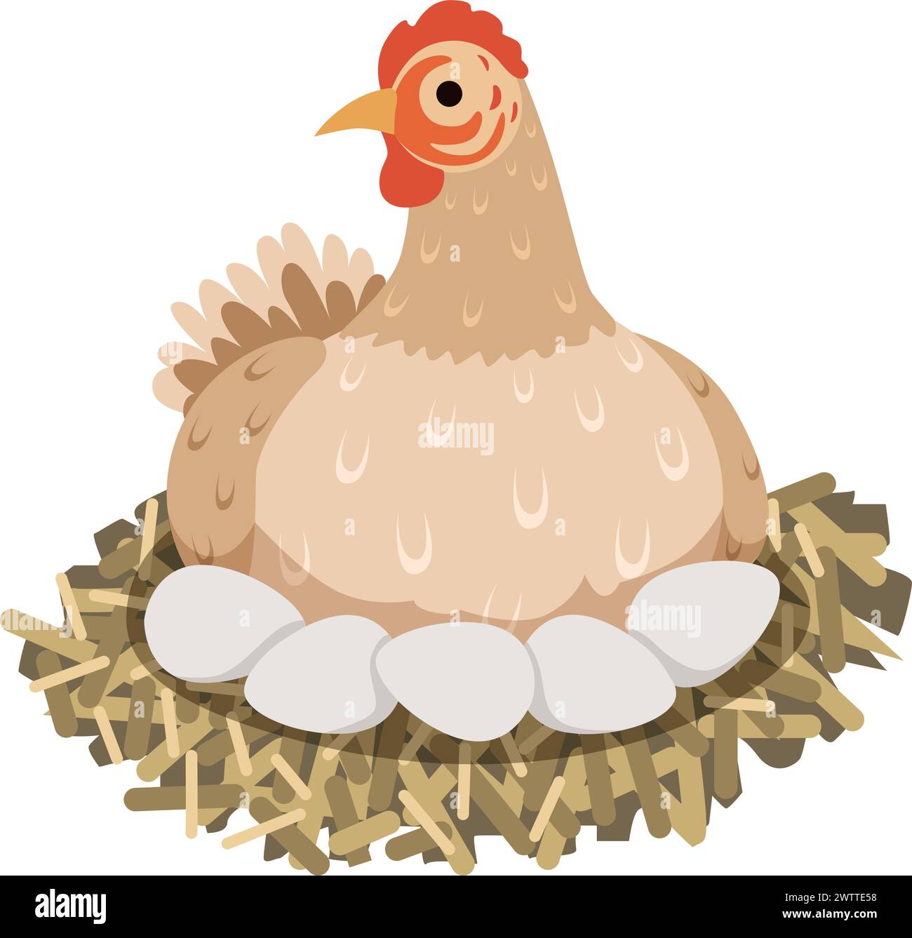 Animals bird chicken hi-res stock photography and images - Alamy