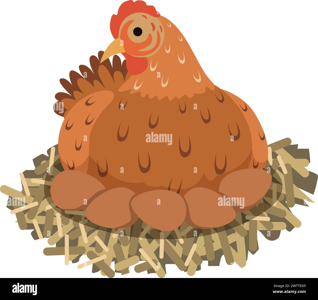 Hen hatching eggs. Farm bird mother. Poultry cartoon icon Stock Vector ...