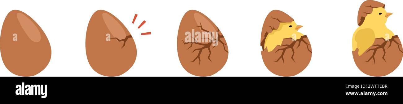 Hatching egg animation. Newborn chicken cartoon icon Stock Vector Image ...