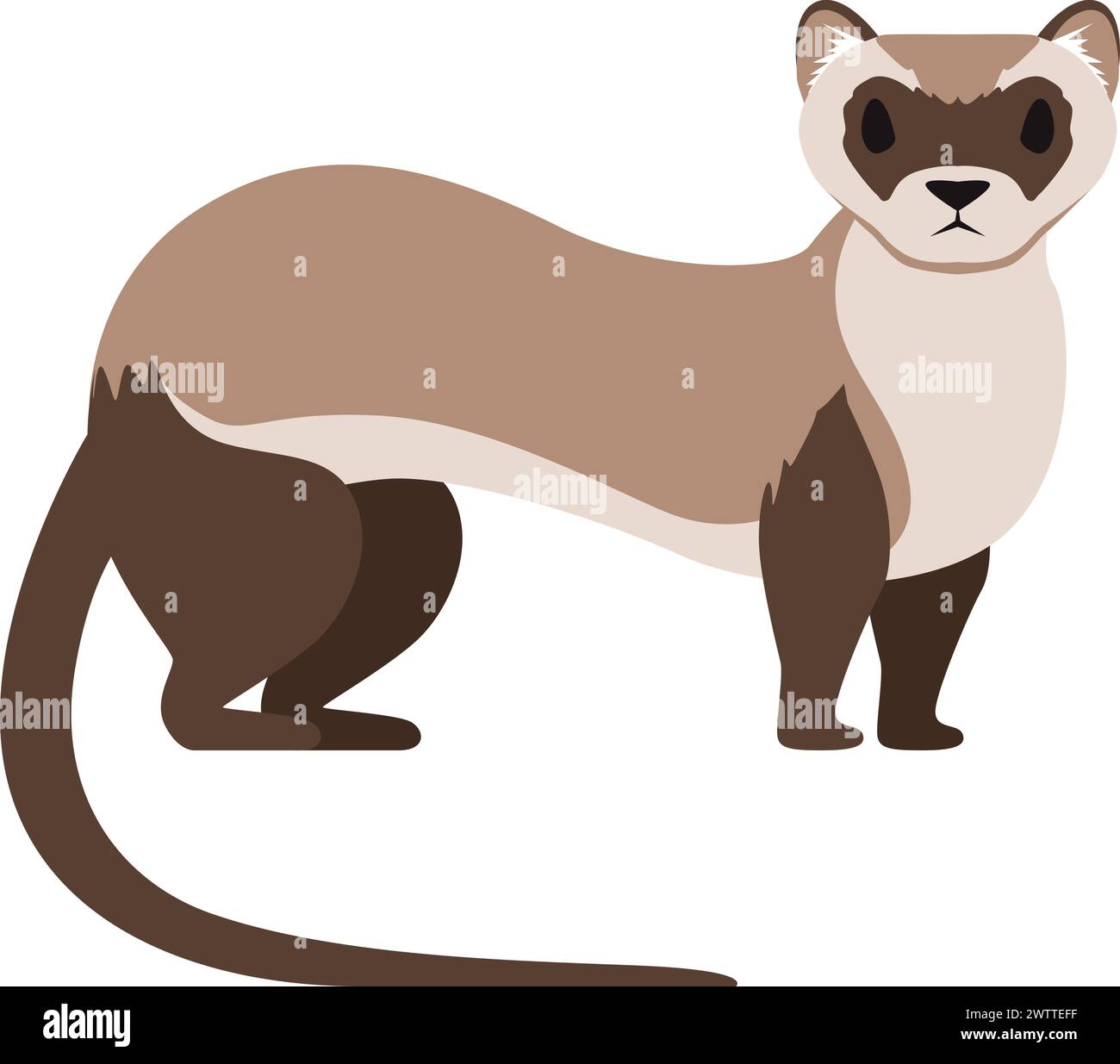 Weasel cartoon icon. Wild animal. Furry pet Stock Vector Image & Art ...