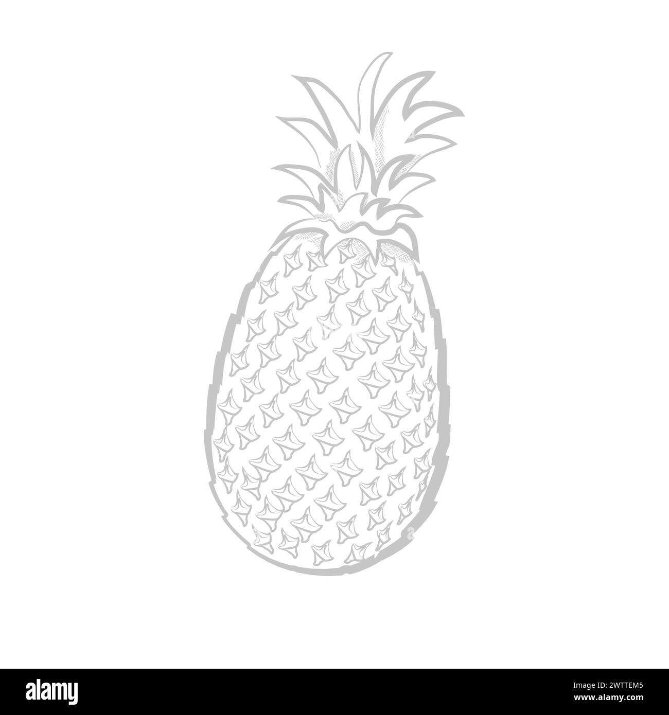 Pineapple, line sketch ananas, whole tropical fruit with leaf vector ...