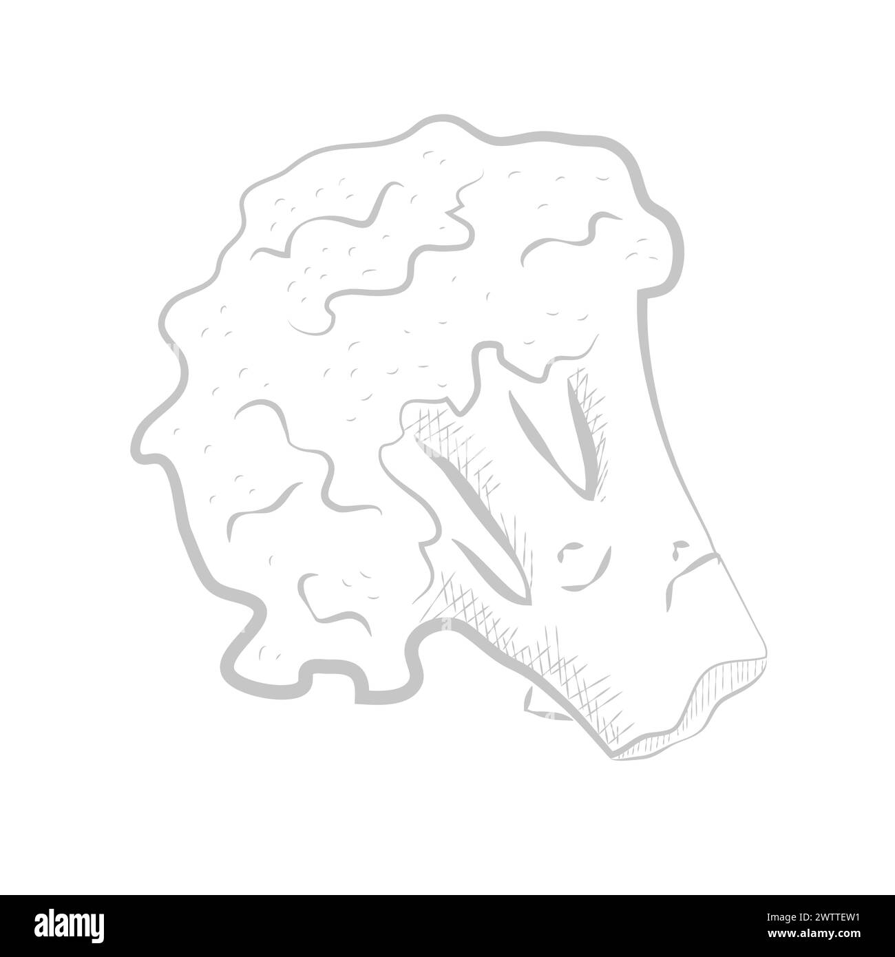 Broccoli line sketch, vitamin vegetable for cooking healthy food vector ...