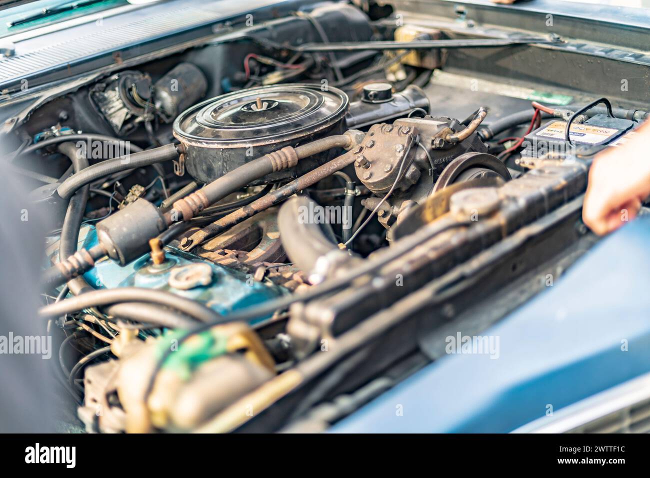 Pristine vintage American car engine exposed, showcasing classic ...