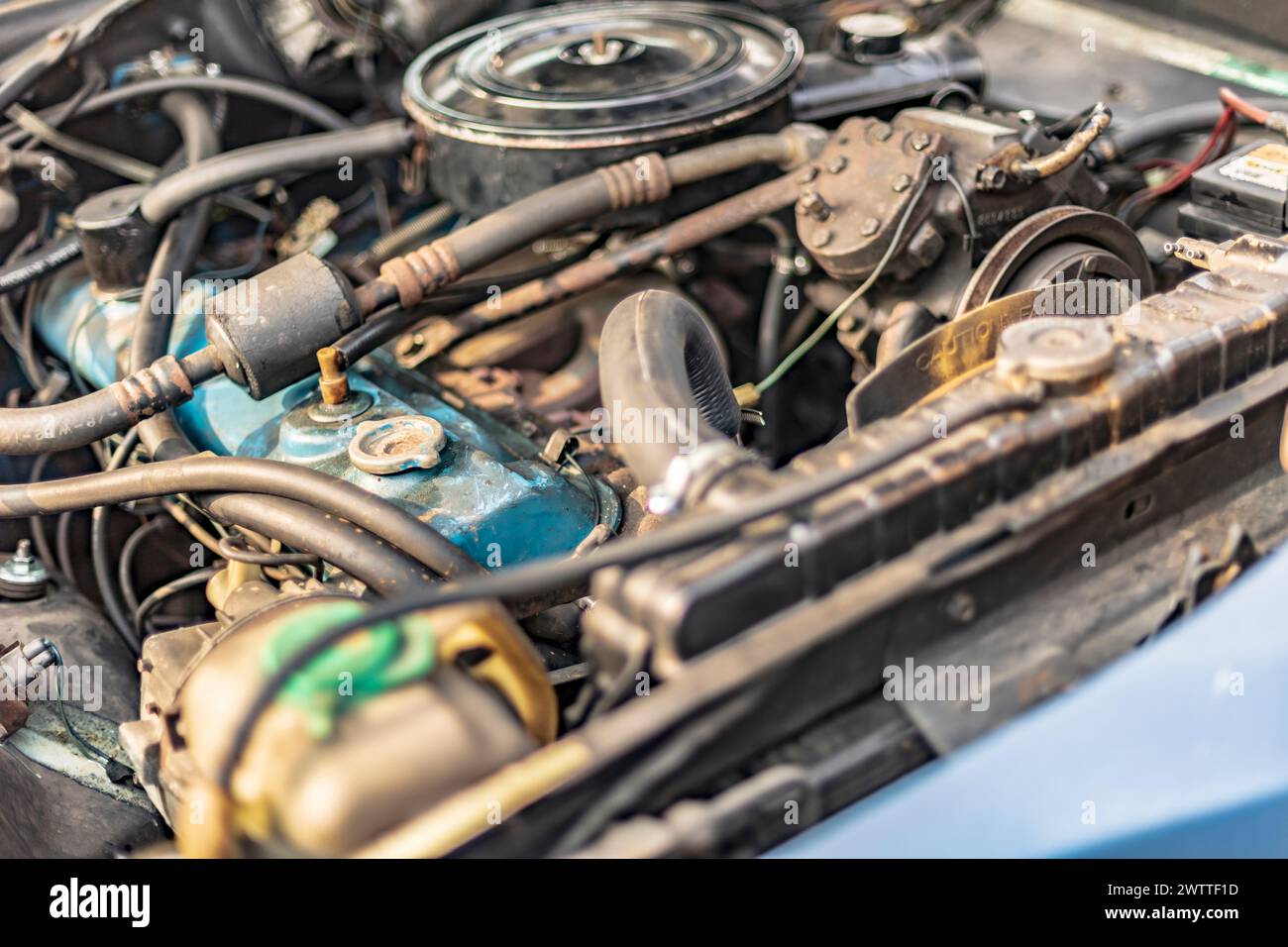 Pristine vintage American car engine exposed, showcasing classic ...