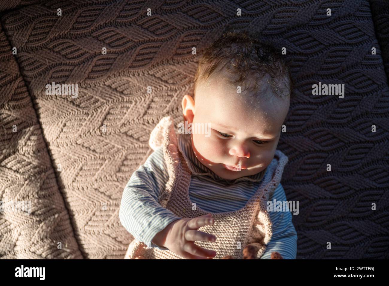 A thoughtful infant resting on a cosy blanket in the mottled sunlight ...