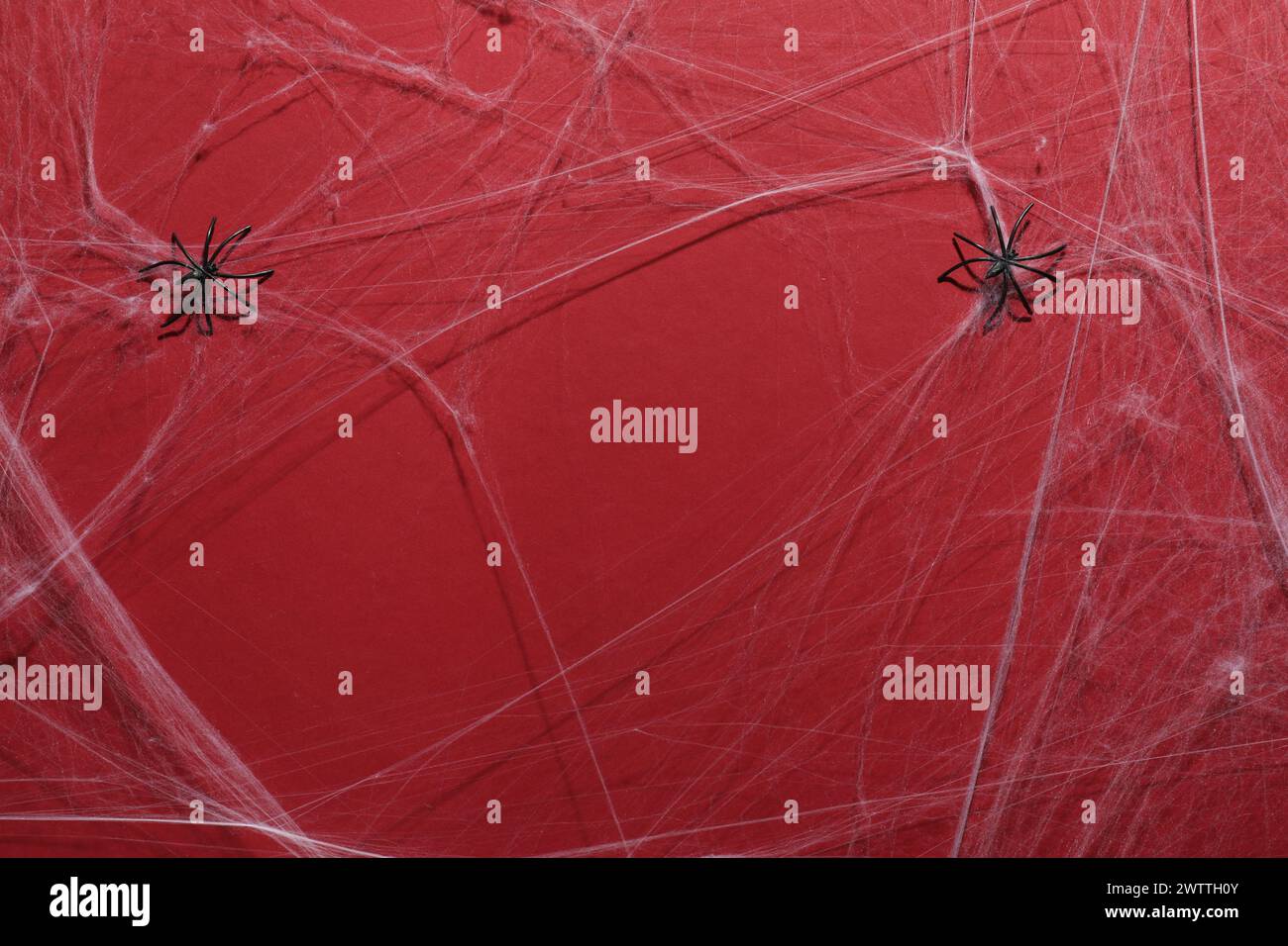 Neglected spiders web hi-res stock photography and images - Alamy