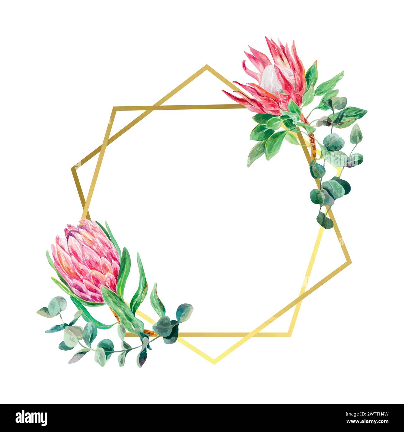 Protea watercolor, eucalyptus branch, gold frame. Vector illustration of pink flowers. Cards ...