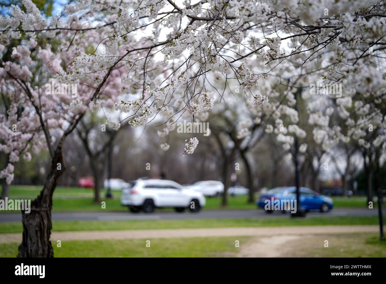 Washington, United States. 19th Mar, 2024. Cars are seen driving near ...