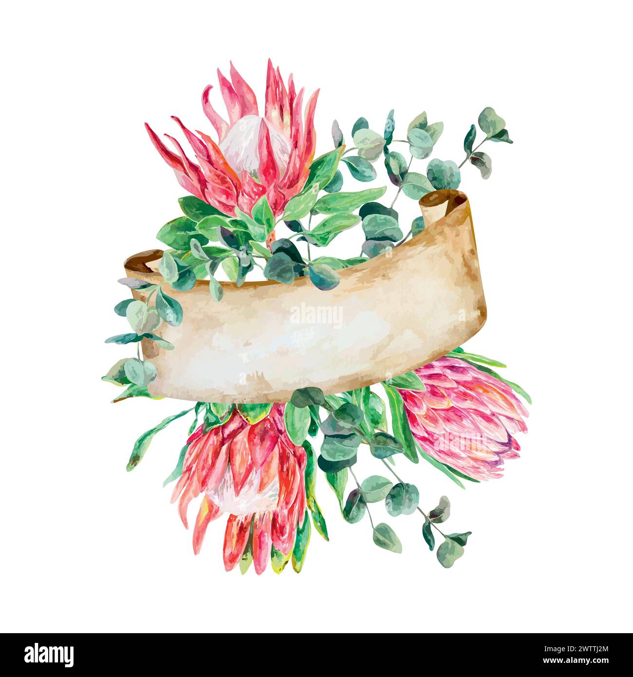 Protea watercolor, eucalyptus twigs, banner for text. Vector ...