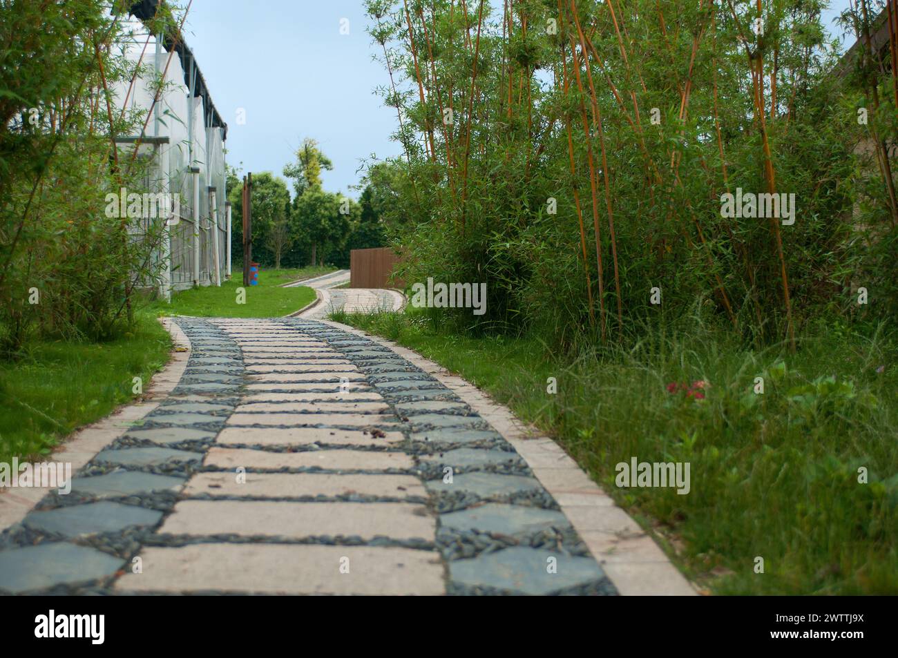 Peaceful pathway hi-res stock photography and images - Alamy