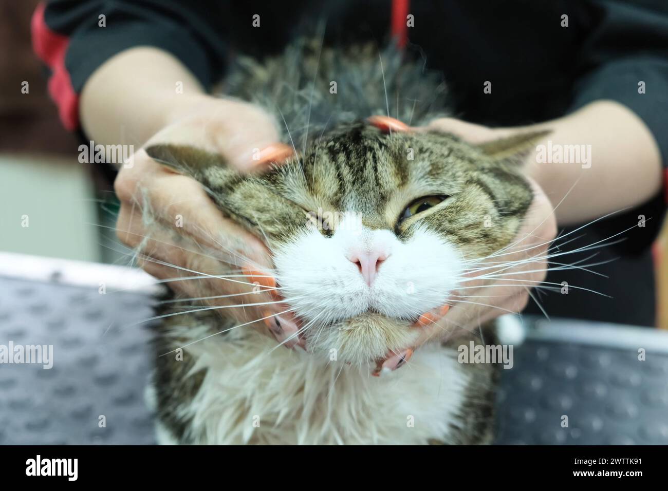 Restorative process hi-res stock photography and images - Alamy