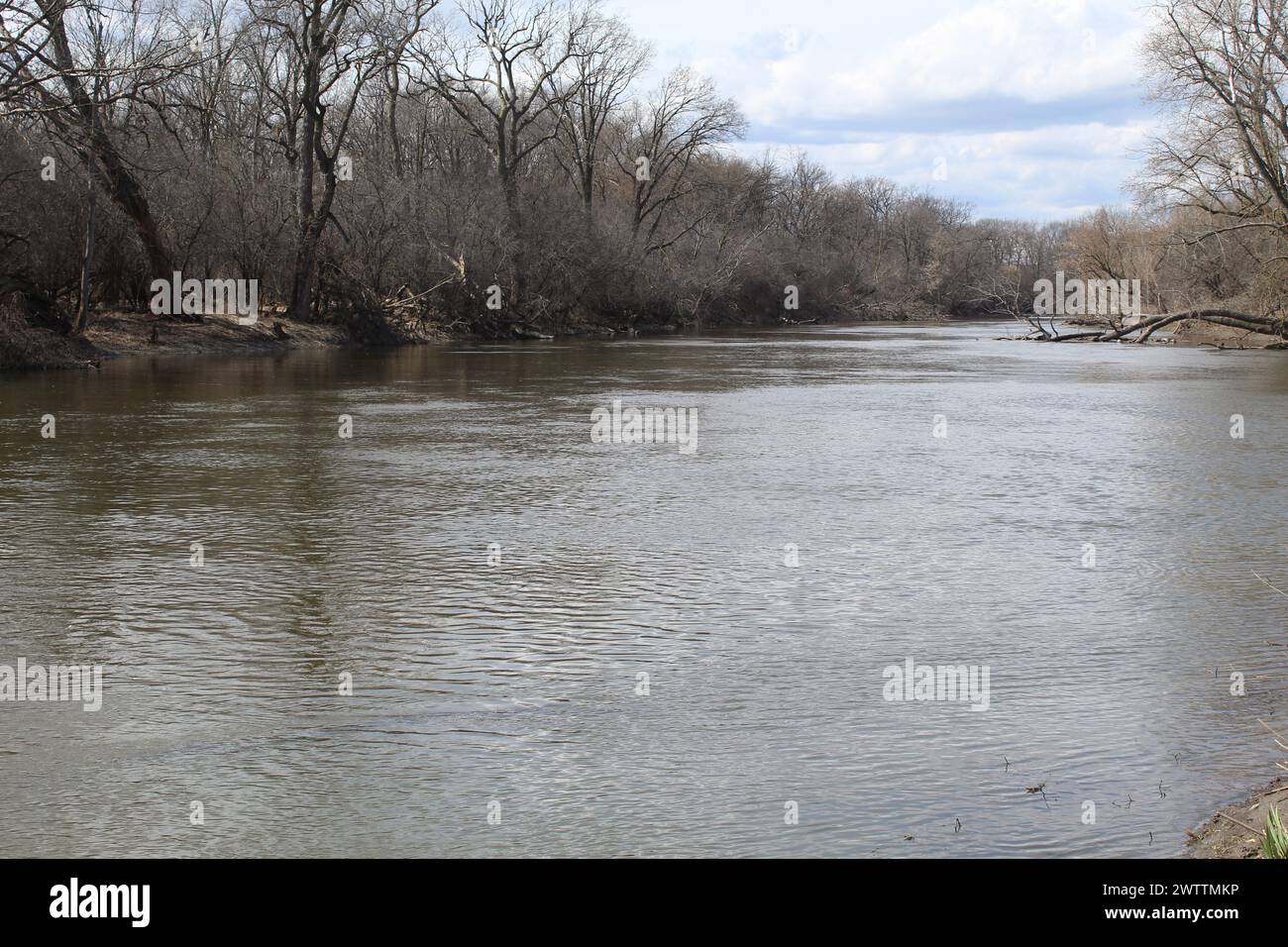Des Plaines River in early spring from the banks at Dam Number 4 Woods ...