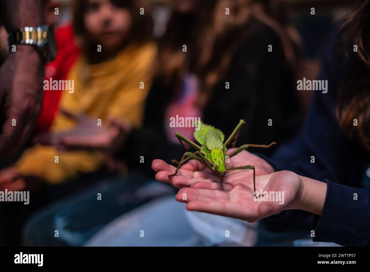 Environmental disseminator hi-res stock photography and images - Alamy