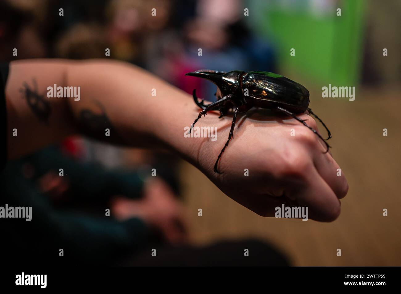 Zaragoza aquarium hi-res stock photography and images - Alamy