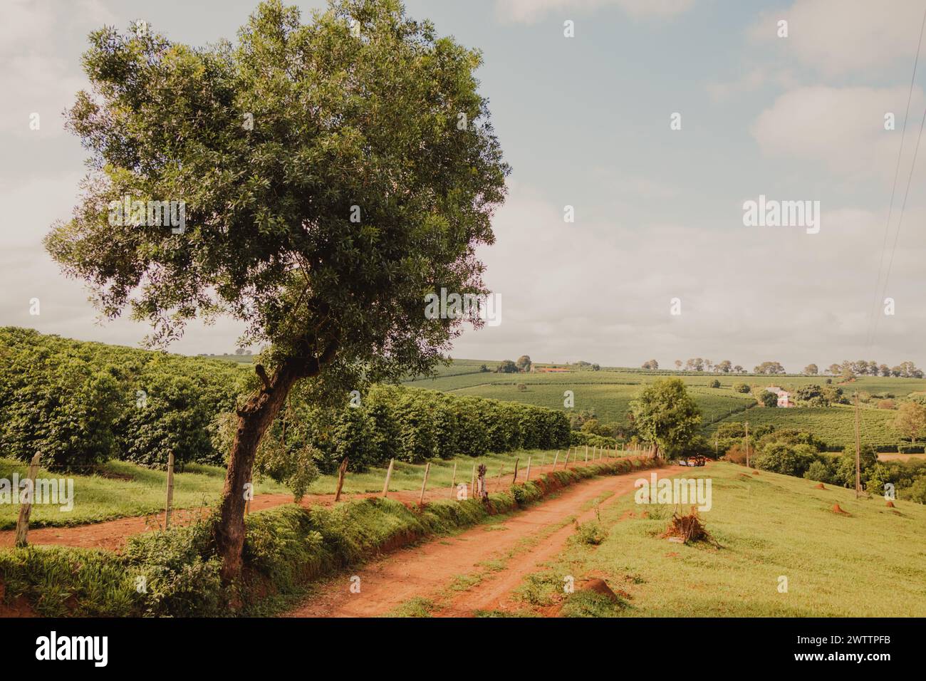 landscape of rural road on the countryside Stock Photo - Alamy