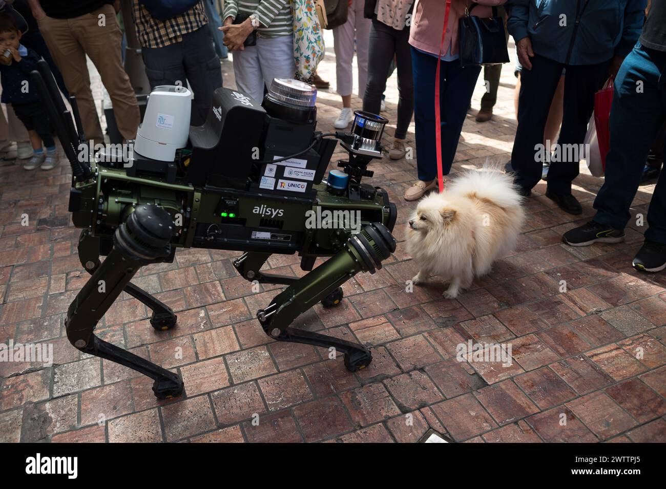 A robotic police dog prototype is seen looking at another dog at Larios ...