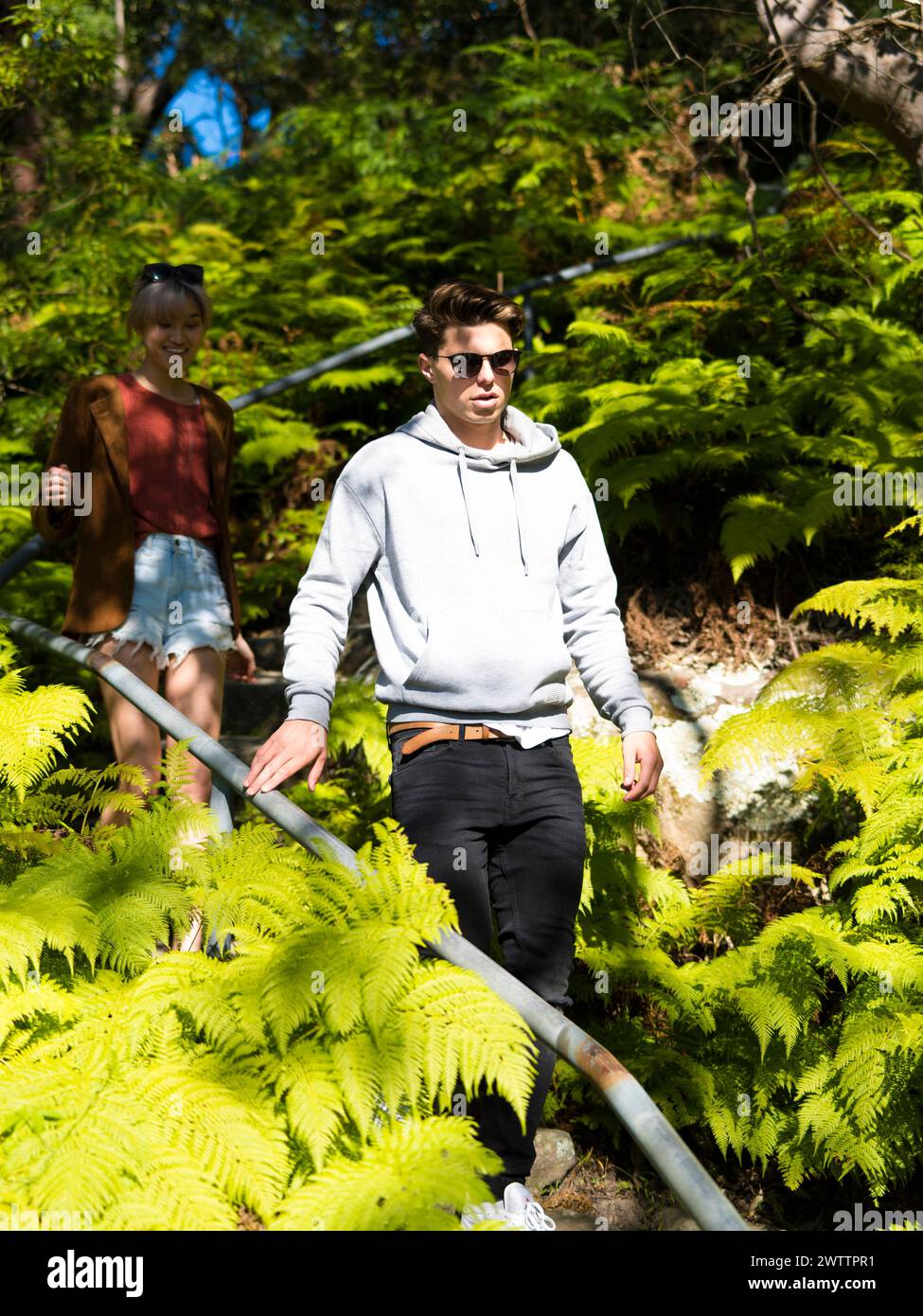 Lush two ferns hi-res stock photography and images - Alamy