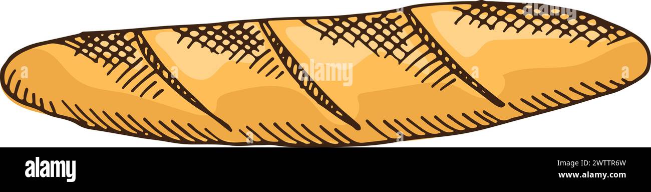 Breadstick color icon. Hand drawn bakery sketch Stock Vector Image ...