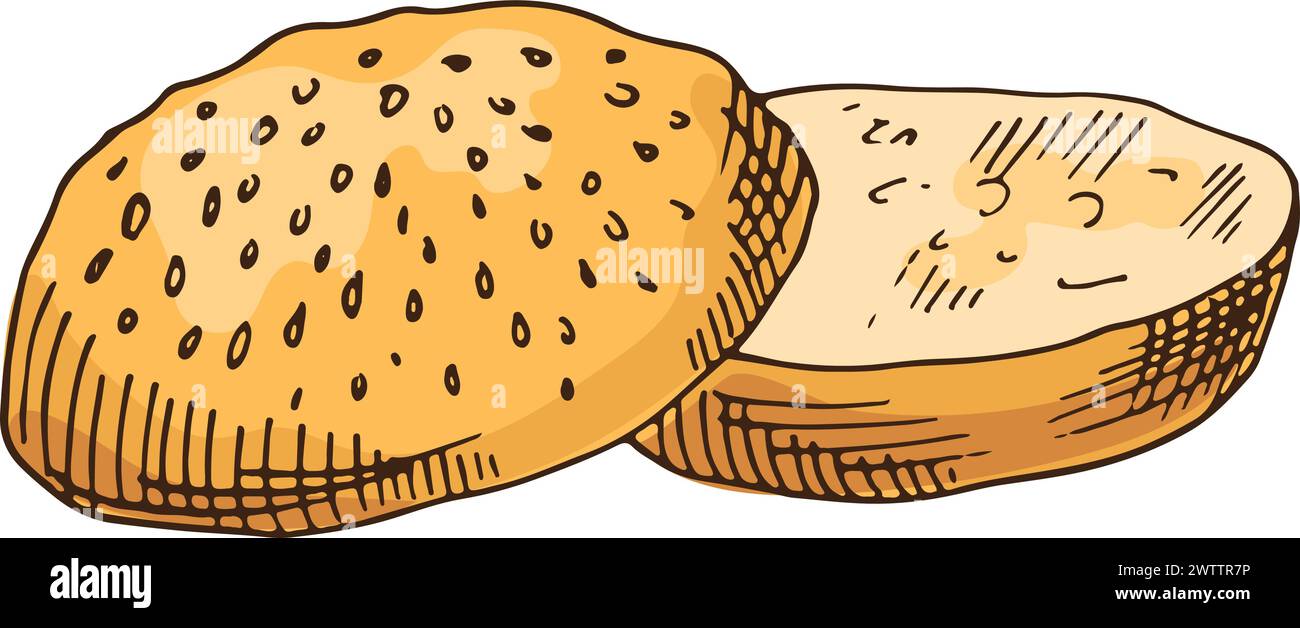 Burger bun sketch. Hand drawn wheat bread Stock Vector Image & Art - Alamy