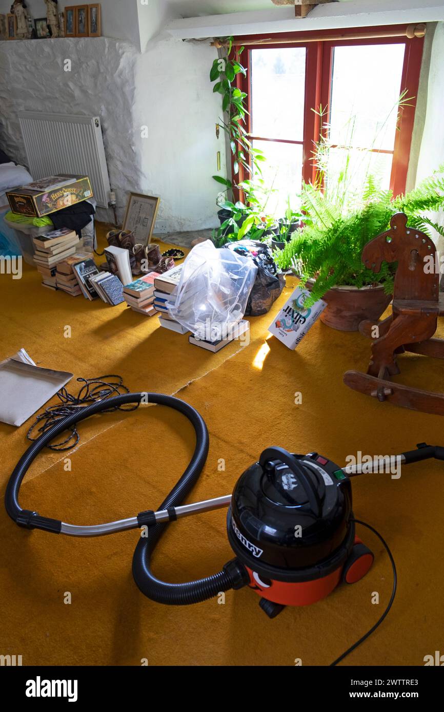 Vertical view of room interior with window, houseplants Henry vacuum ...