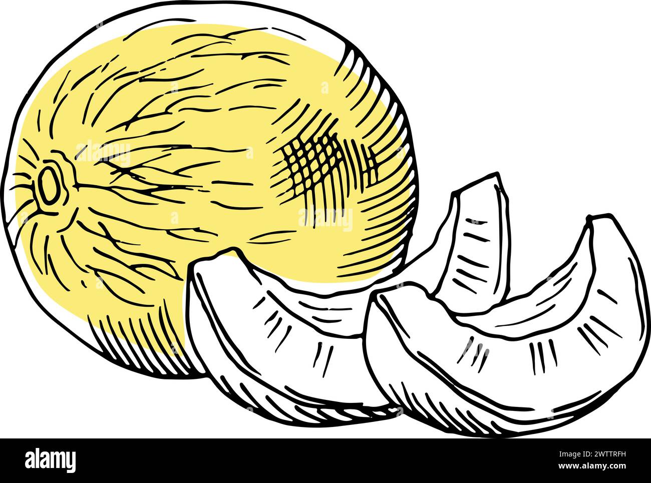 Melon fruit icon outline hi-res stock photography and images - Alamy