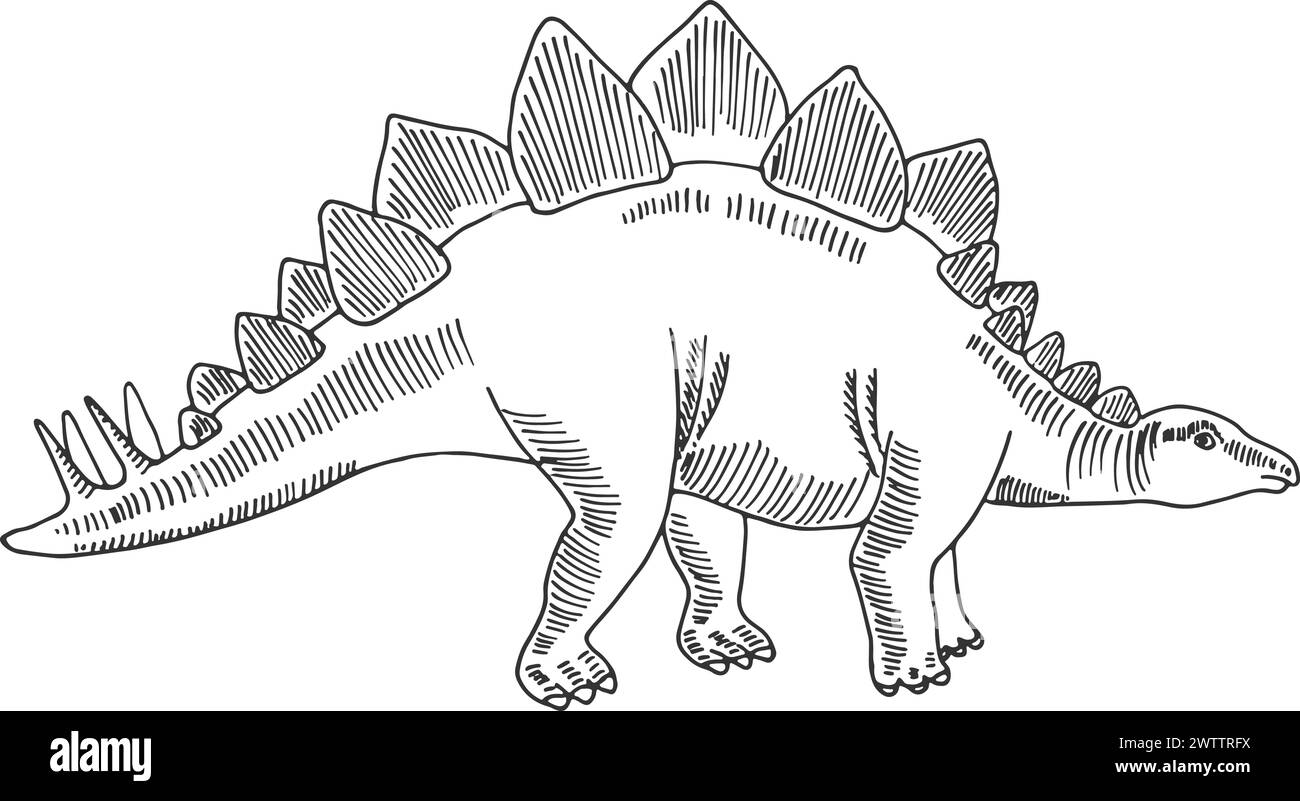 Stegosaurus sketch. Ancient giant herbivore. Dinosaur drawing Stock ...