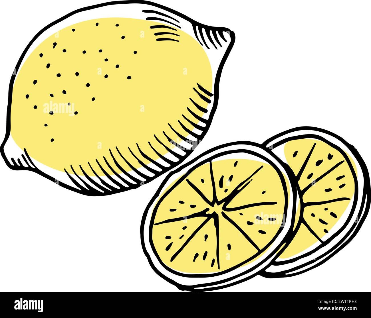 Lemon drawing. Whole fruit and slices color sketch Stock Vector Image ...