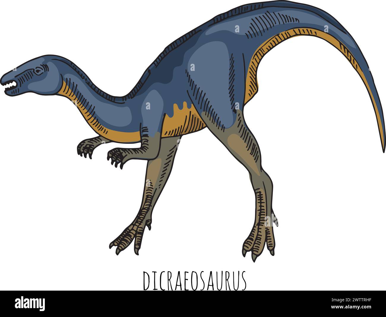 Dicraeosaurus color sketch. Ancient reptile. Dinosaur color drawing ...
