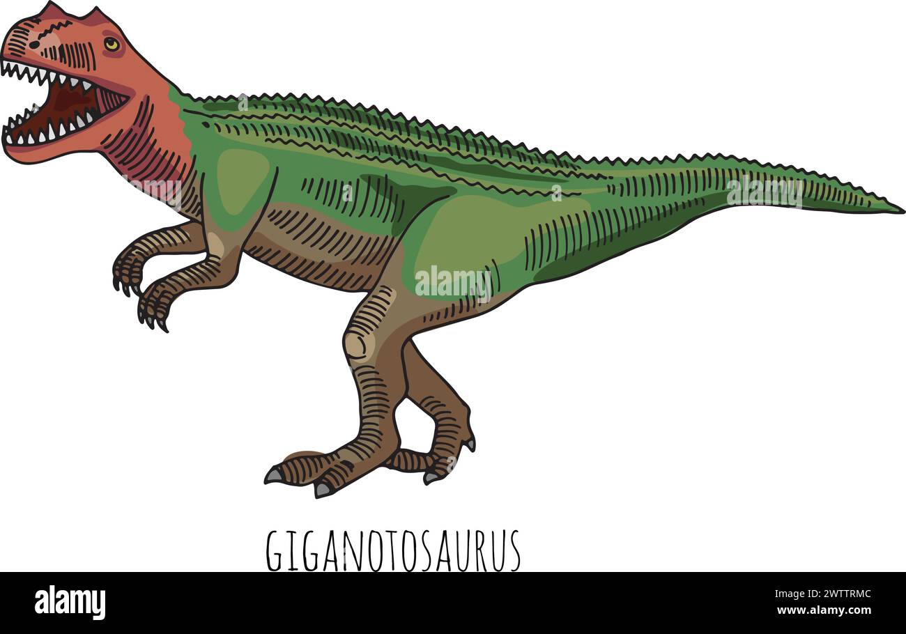 Giganotosaurus drawing. Ancient animal. Prehistoric wild predator Stock ...