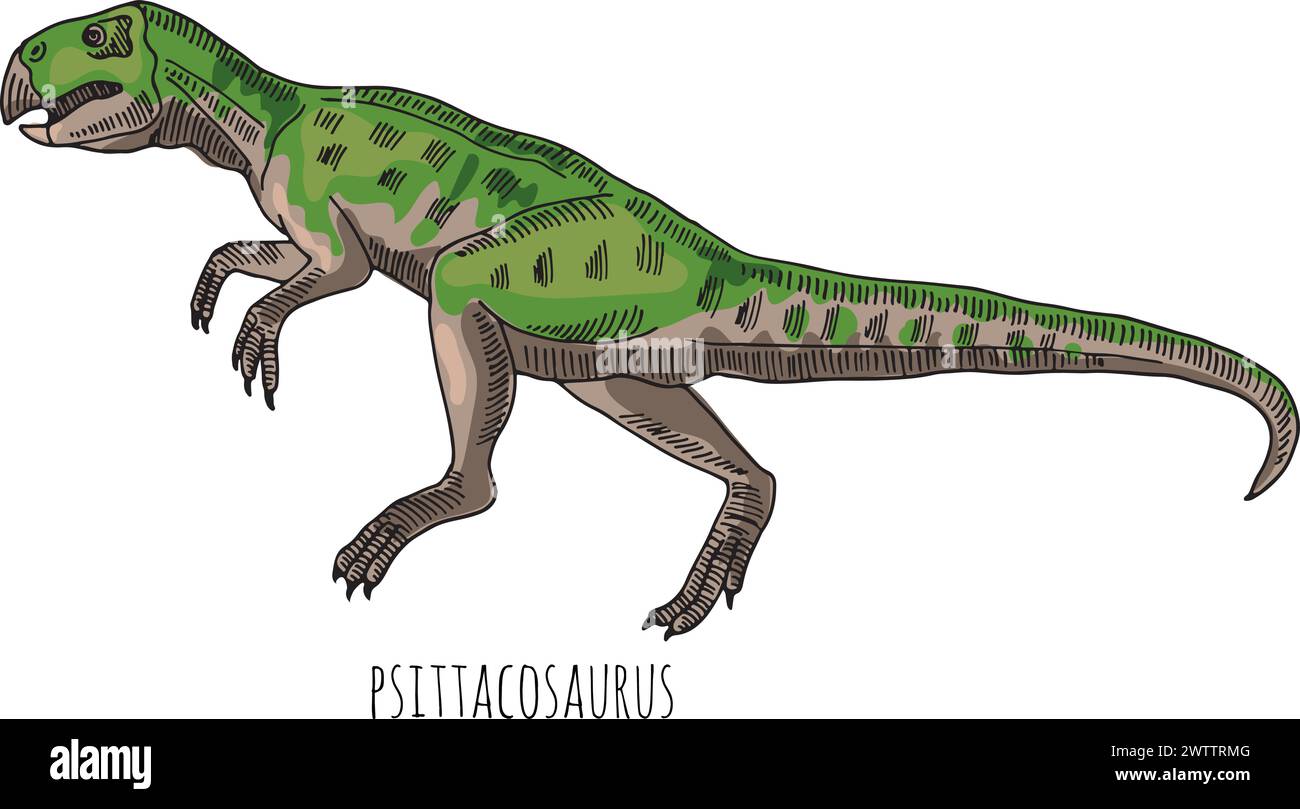 Psittacosaurus illustration. Ancient animal. Dinosaur color drawing ...