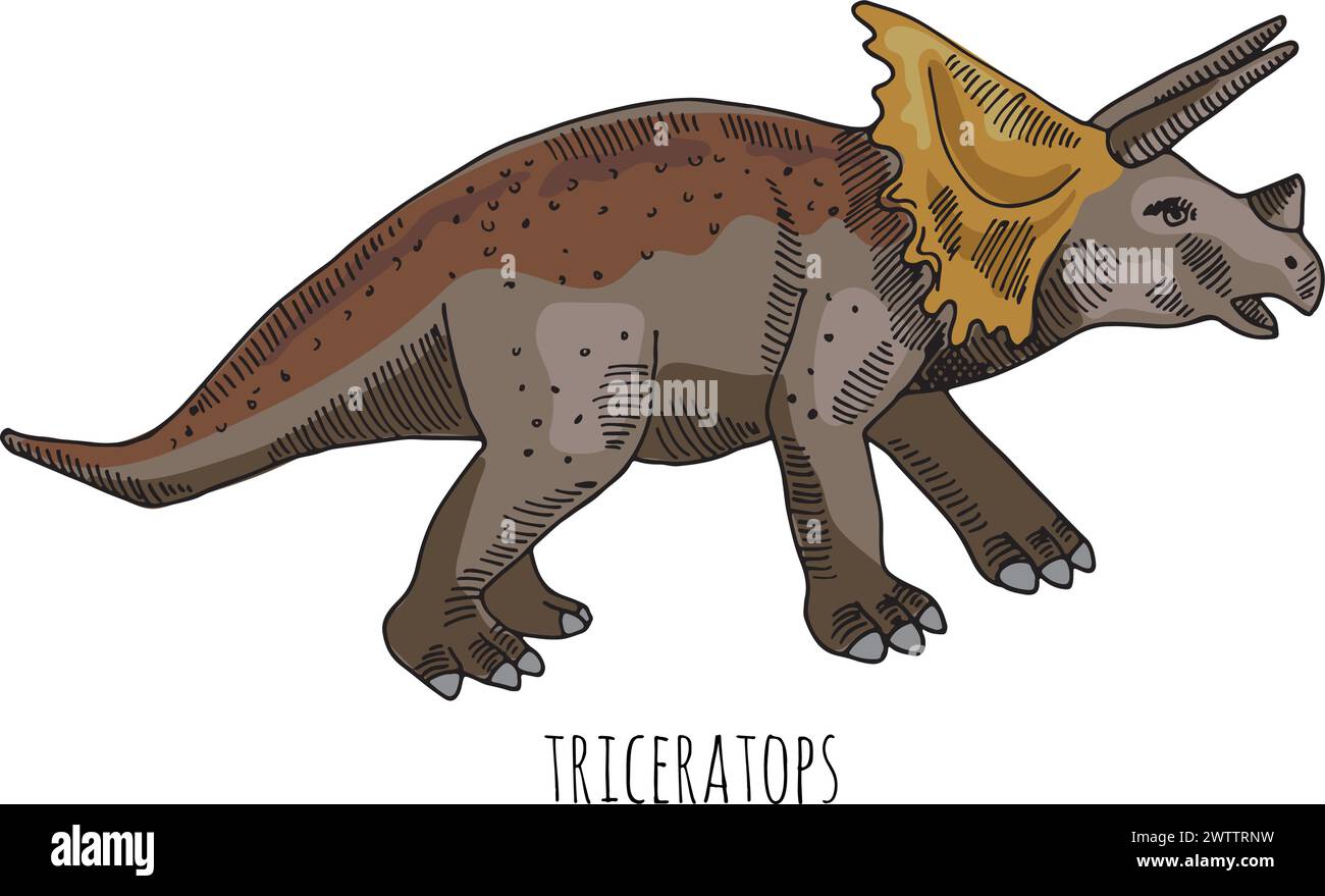 Triceratops color drawing. Hand drawn dinosaur animal Stock Vector ...