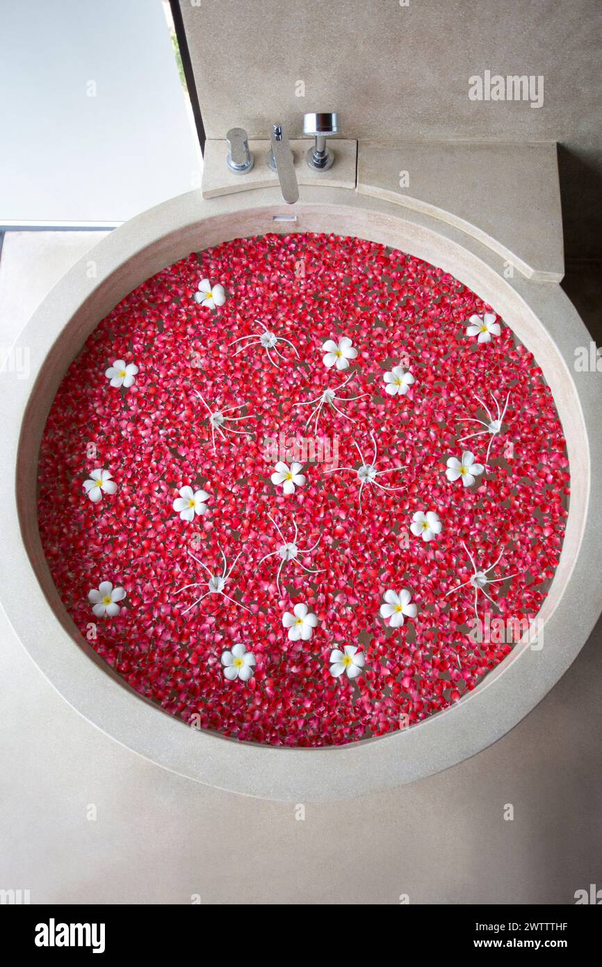 Bathtub filled with water and red petals Stock Photo - Alamy