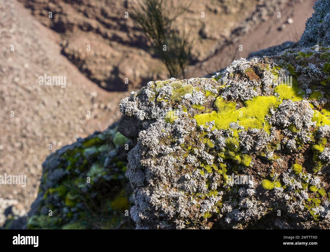 Lava sediments at crater on Mount Vesuvius active volcano, Naples ...