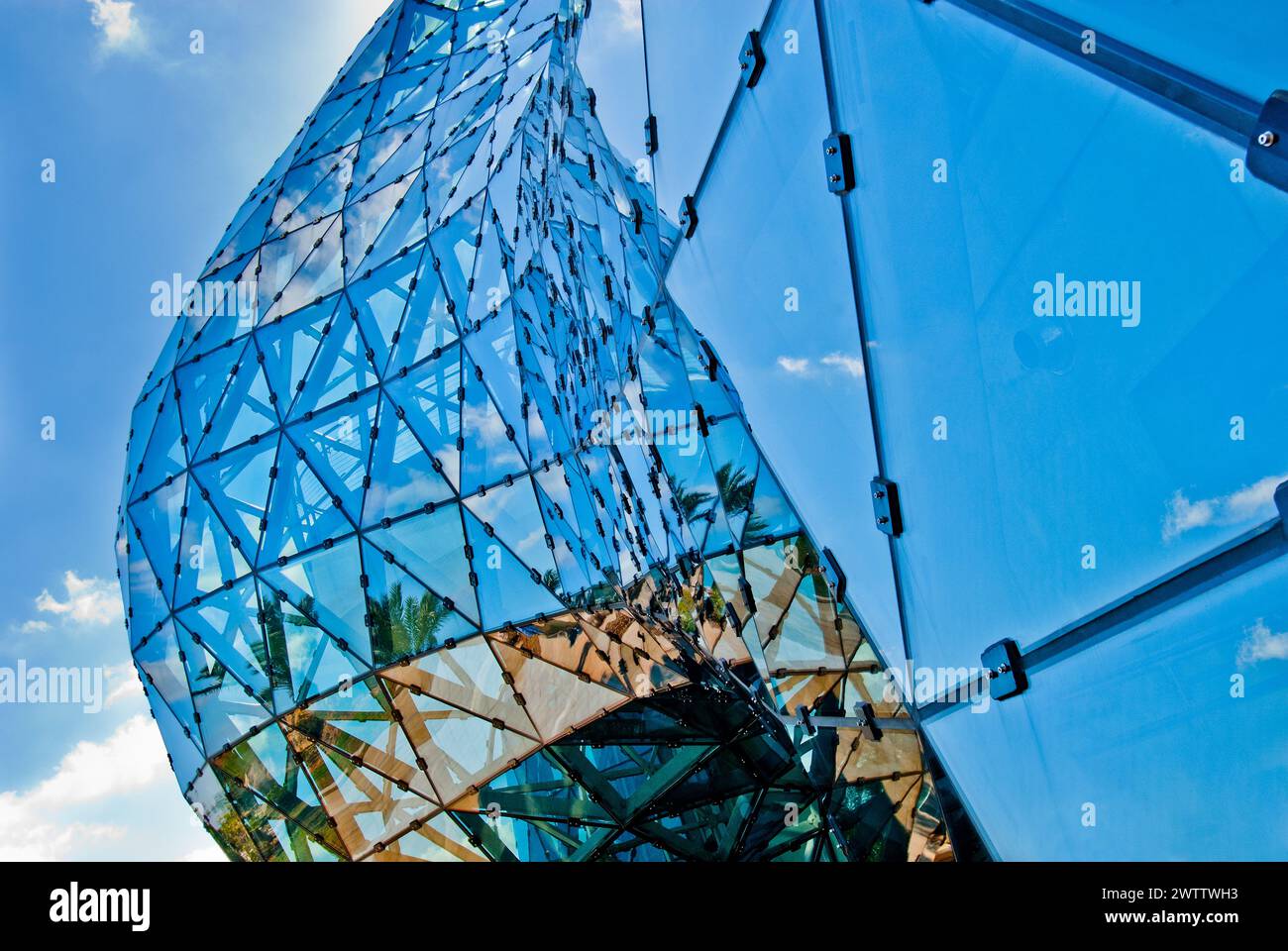 Salvador dali visionary art hi-res stock photography and images - Alamy