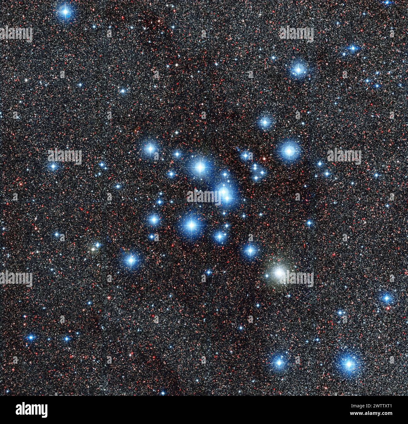 Dense star field hi-res stock photography and images - Alamy