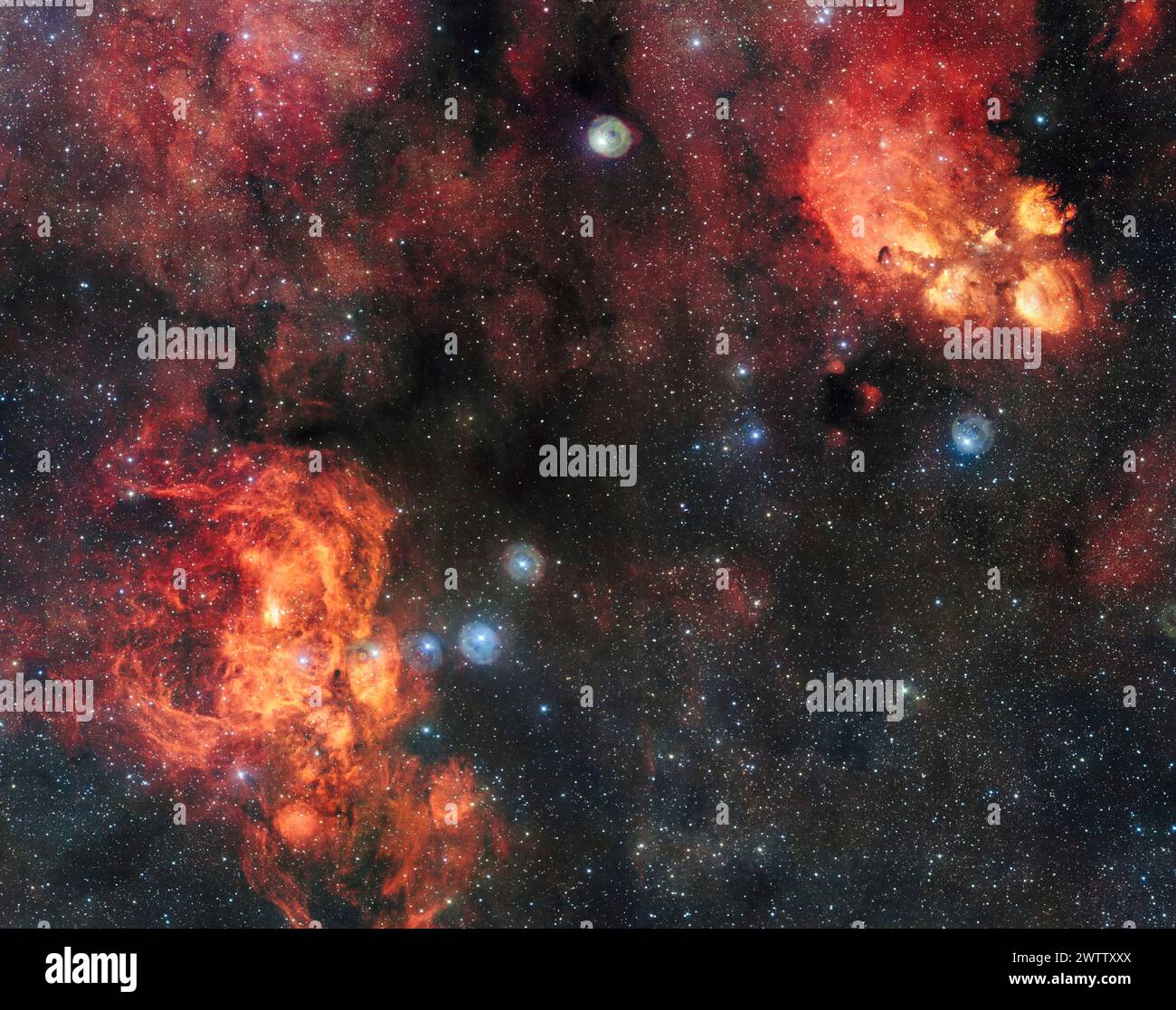 Cosmos cosmic orange hi-res stock photography and images - Alamy