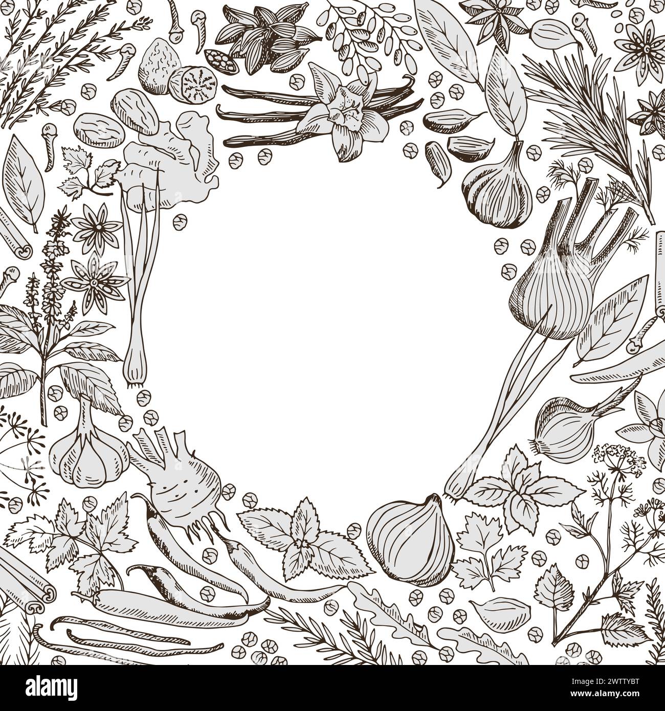 Coocking spices frame. Hand drawn vegetables border Stock Vector Image ...