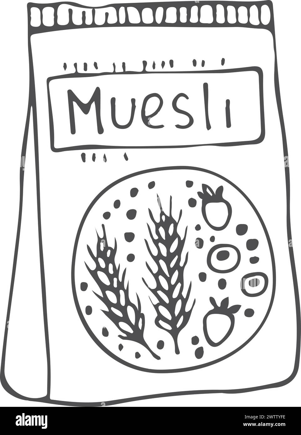 The rice paper plant Stock Vector Images - Alamy