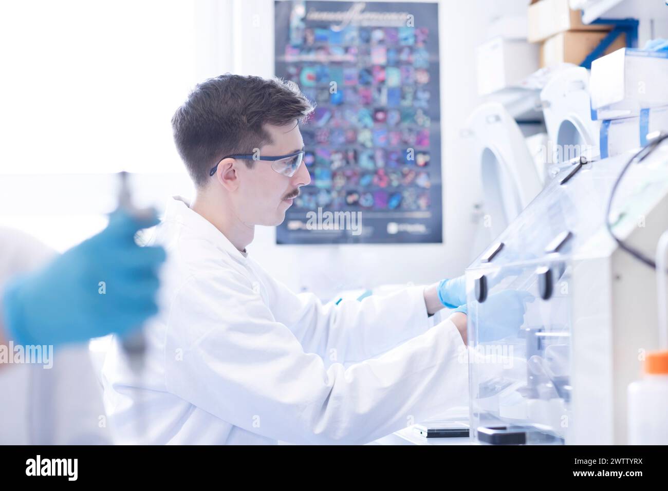 Laboratory setting hi-res stock photography and images - Alamy