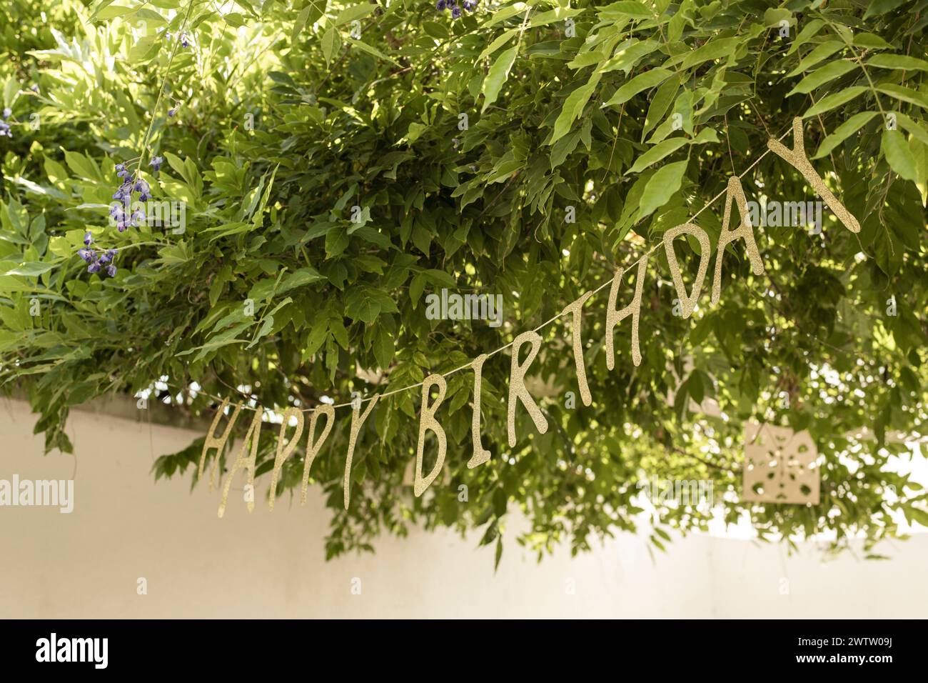 Greenery decor hi-res stock photography and images - Alamy