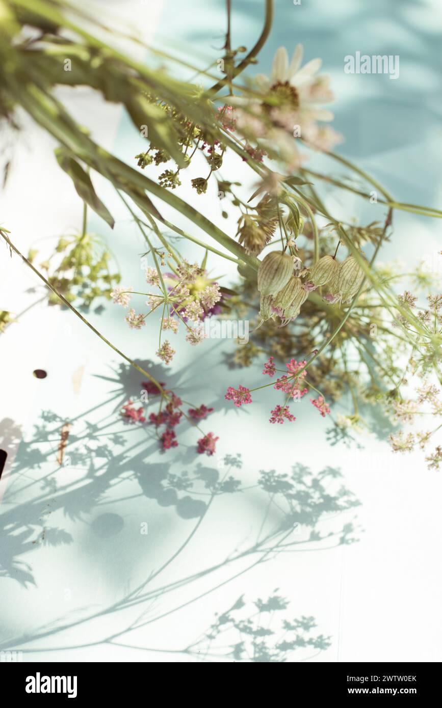 Reflection water flowers hi-res stock photography and images - Alamy