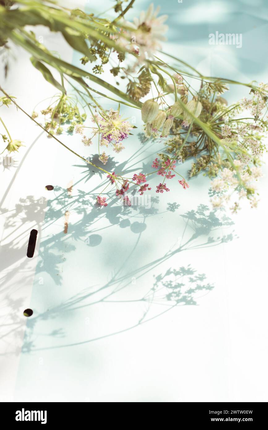 Shadows casting hi-res stock photography and images - Alamy