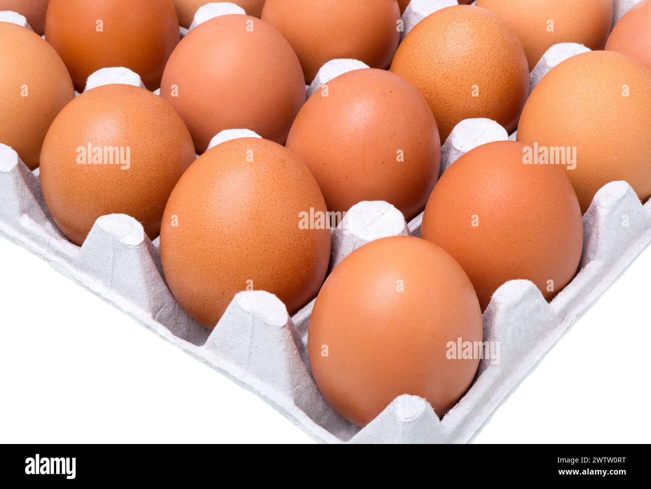 Egg. Raw chicken eggs packing in egg carton box Stock Photo - Alamy