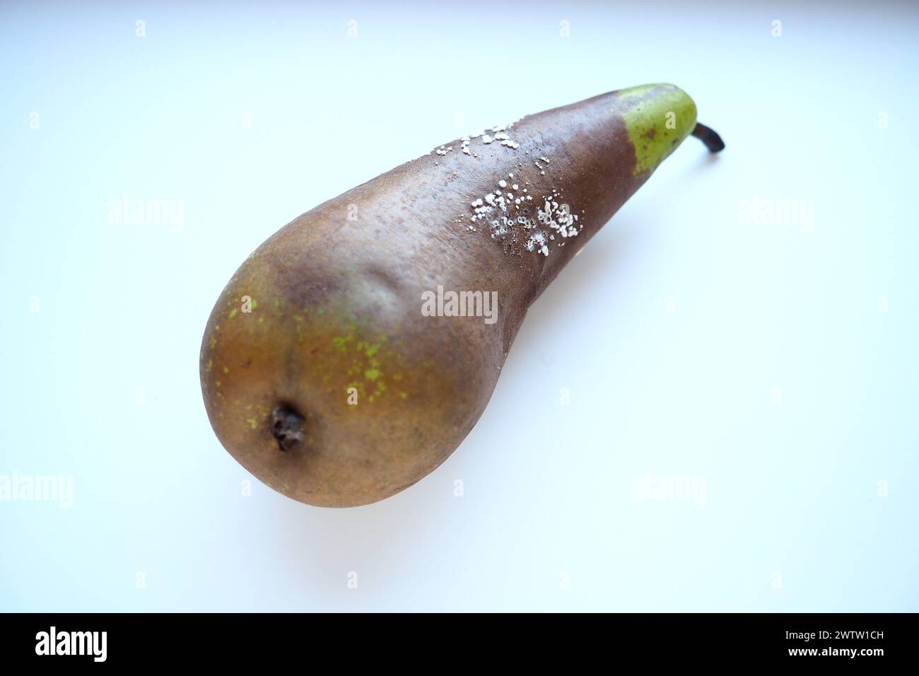 The pear became moldy. A mold or mould. The dust-like colored ...