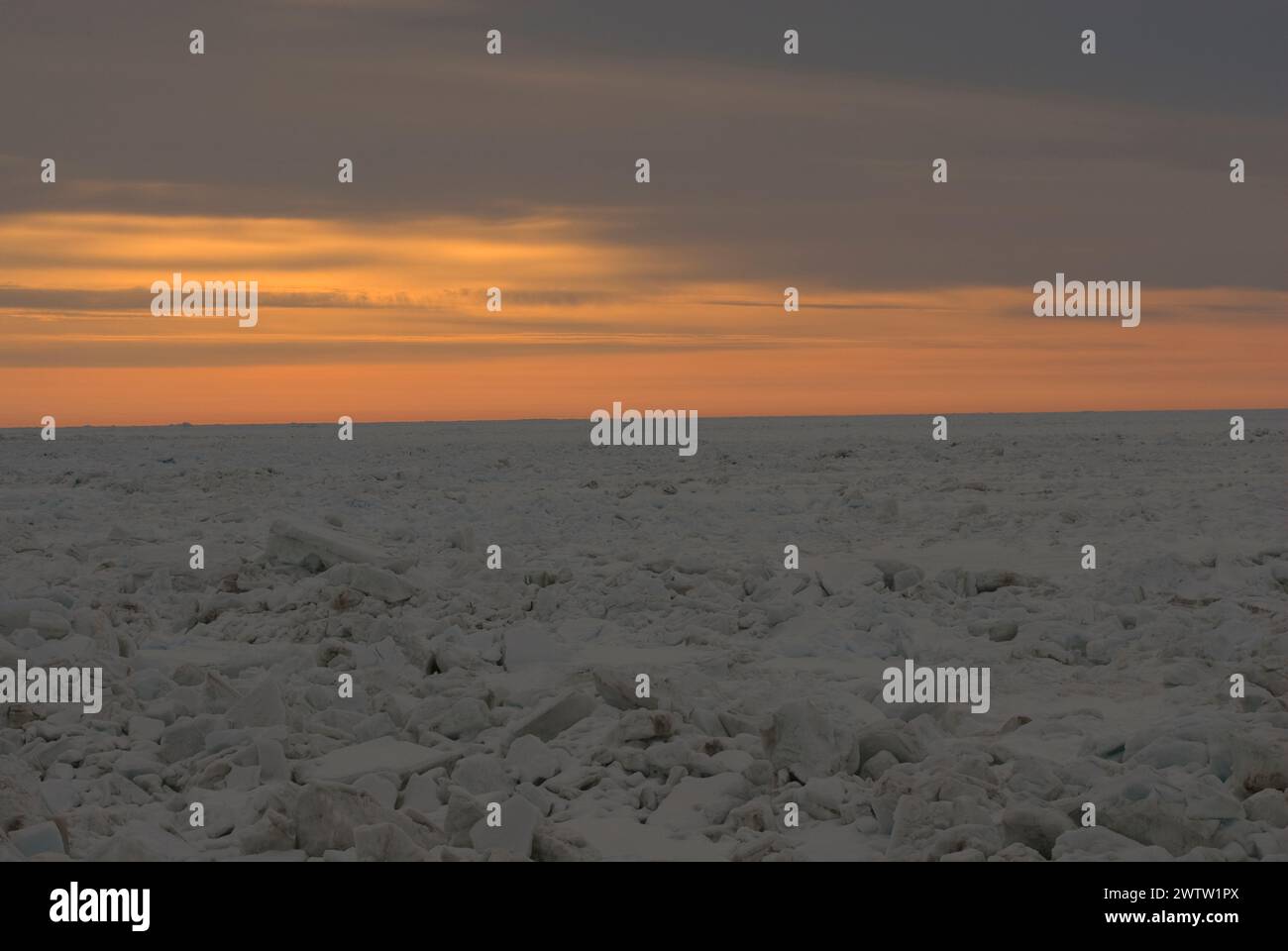Seascape of rough pack ice over the Chukchi sea in springtime, off ...