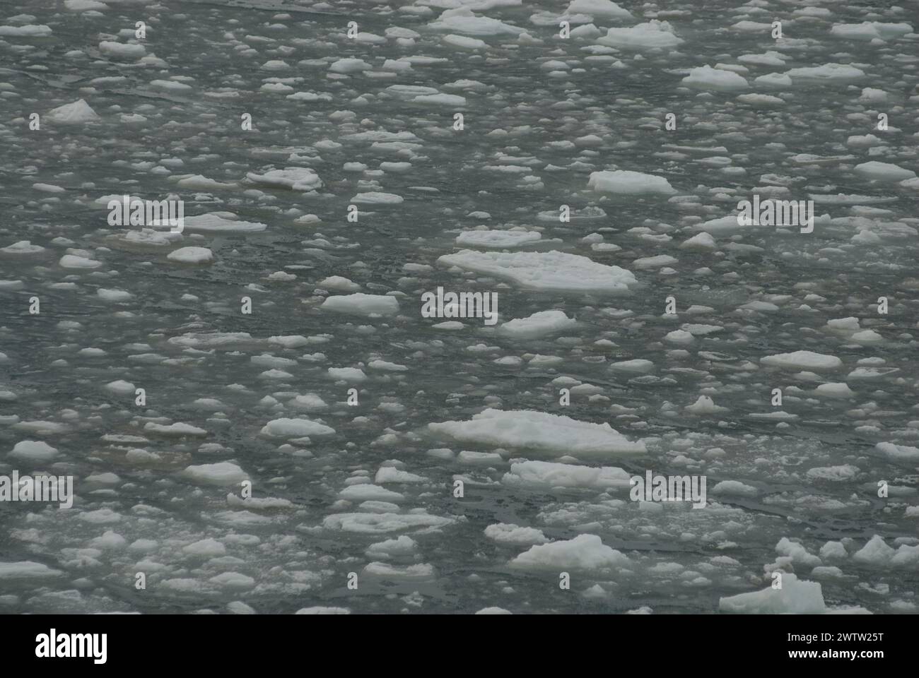Seascape open lead rough pack ice over the Chukchi sea in springtime ...