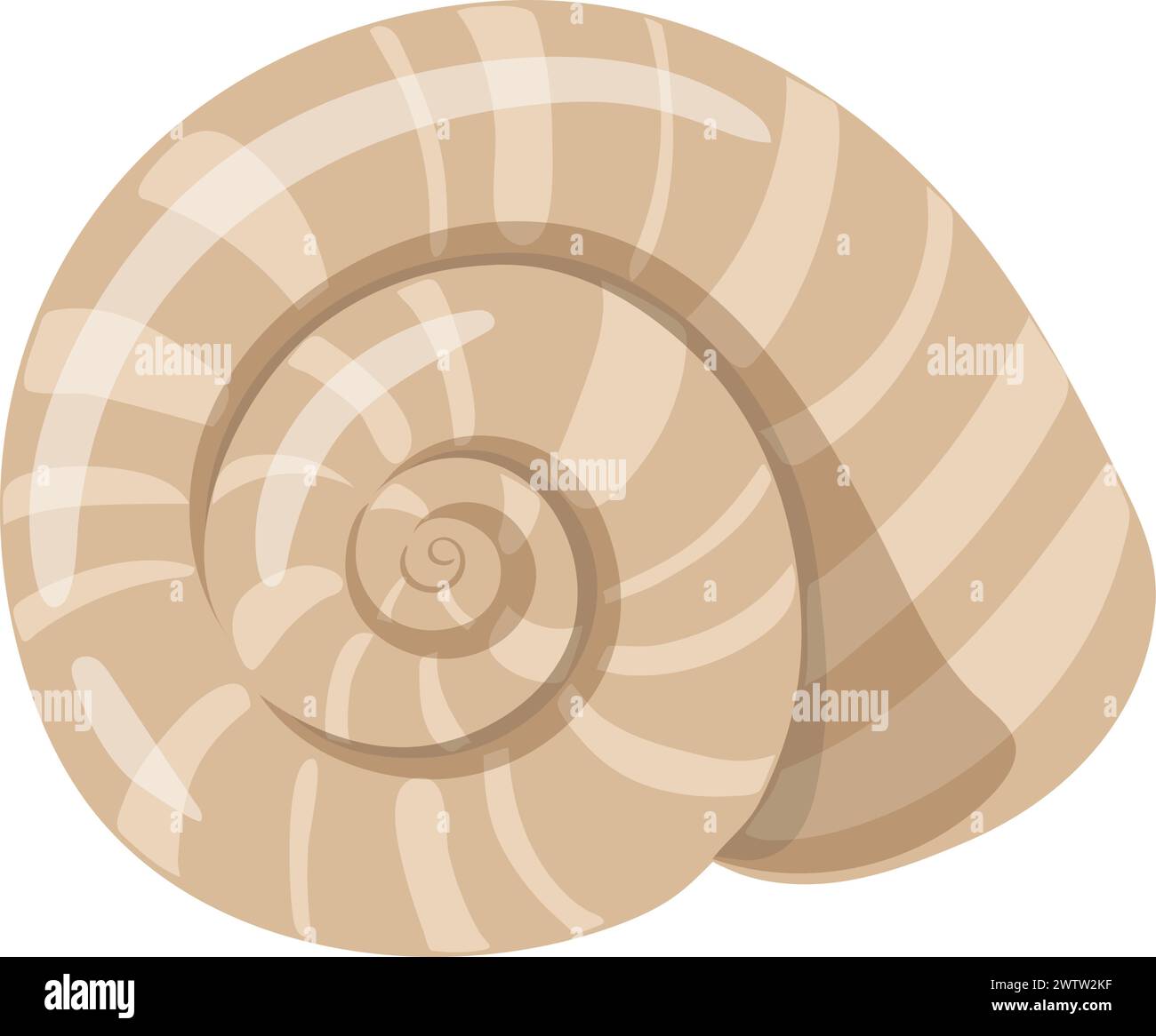 Spiral shell icon. Cartoon underwater fauna seashell Stock Vector Image ...